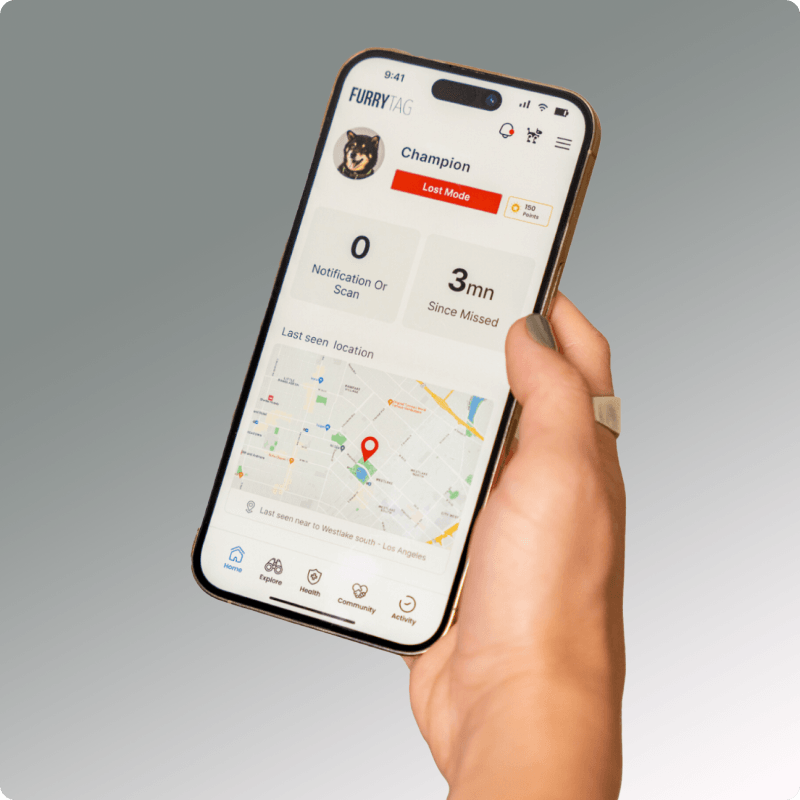 Furry tag │ Cloud Connected Pet Identification Tags