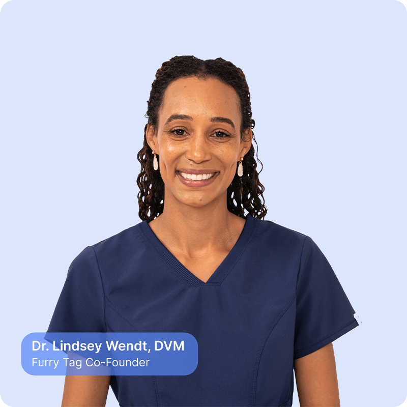 Furry tag │ Cloud Connected Pet Identification Tags